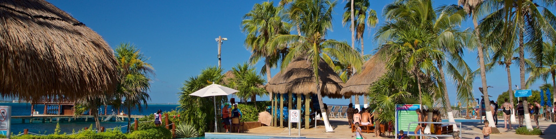 Dolphin Discovery que inclui cenas tropicais, uma piscina e um hotel de luxo ou resort