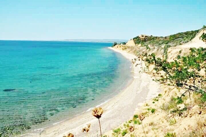Uma praia com águas turquesa cristalinas, areal arenoso e vegetação rasteira.