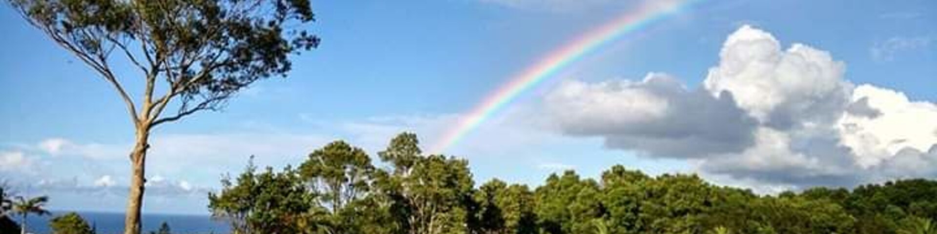 Rainbow in the golf course