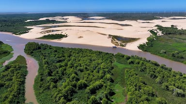 Um rio serpenteando por uma área arborizada, com dunas de areia e turbinas eólicas ao longe.