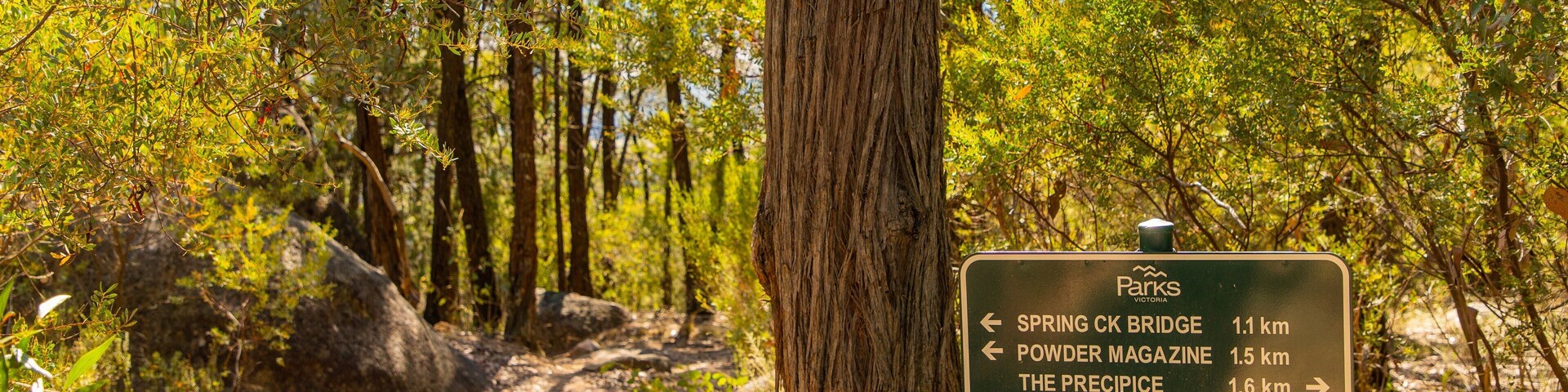 Beechworth Historic Park featuring signage and forests