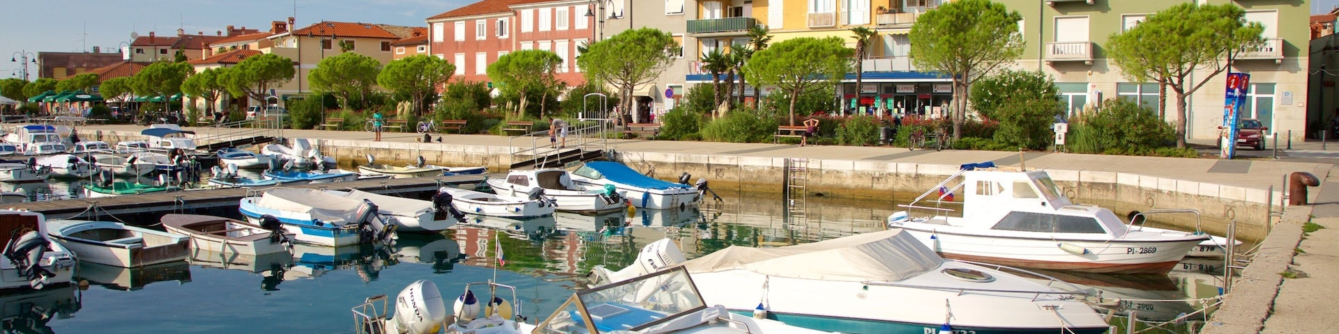 Marina Izola mostrando canoagem, uma marina e uma cidade litorânea