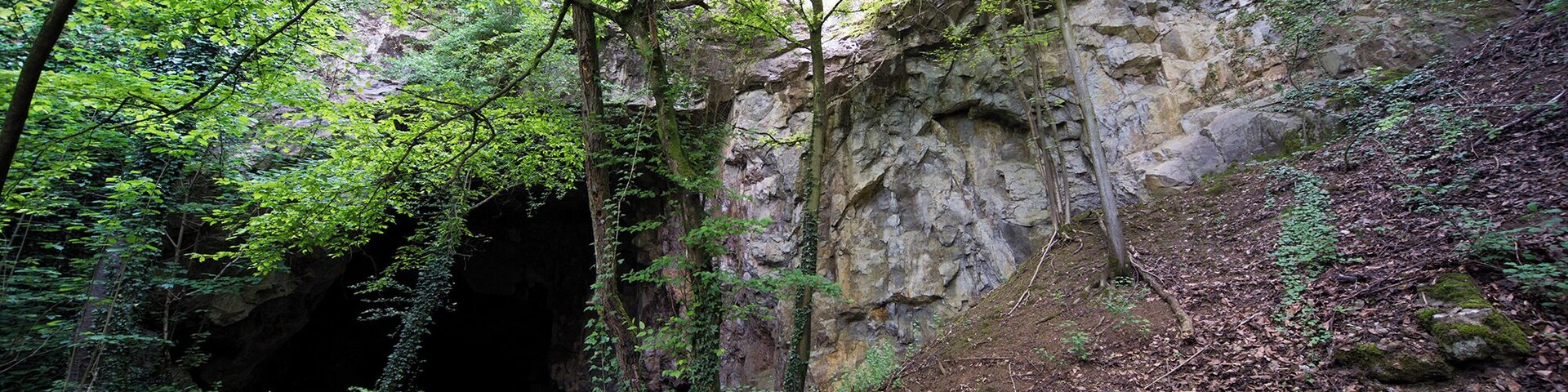 Umliegendes Gelände am Unica-Bruch, Villmarer Marmor, „Lahnmarmor“, Villmar, Hessen; Naturpark Hochtaunus. Riffkalk aus dem Devon des östlichen Rheinischen Schiefergebirges.
