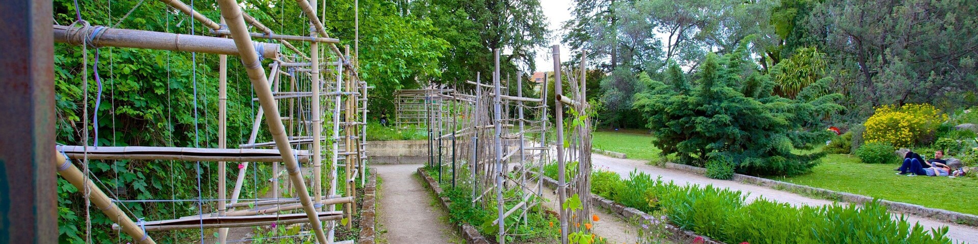 Jardin des plantes de Montpellier which includes a park