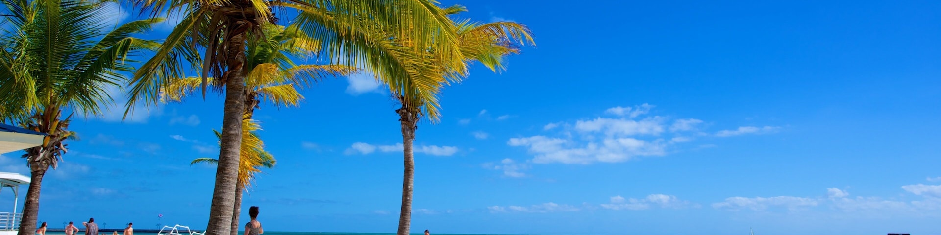 Higgs Beach showing a sandy beach and tropical scenes as well as a large group of people