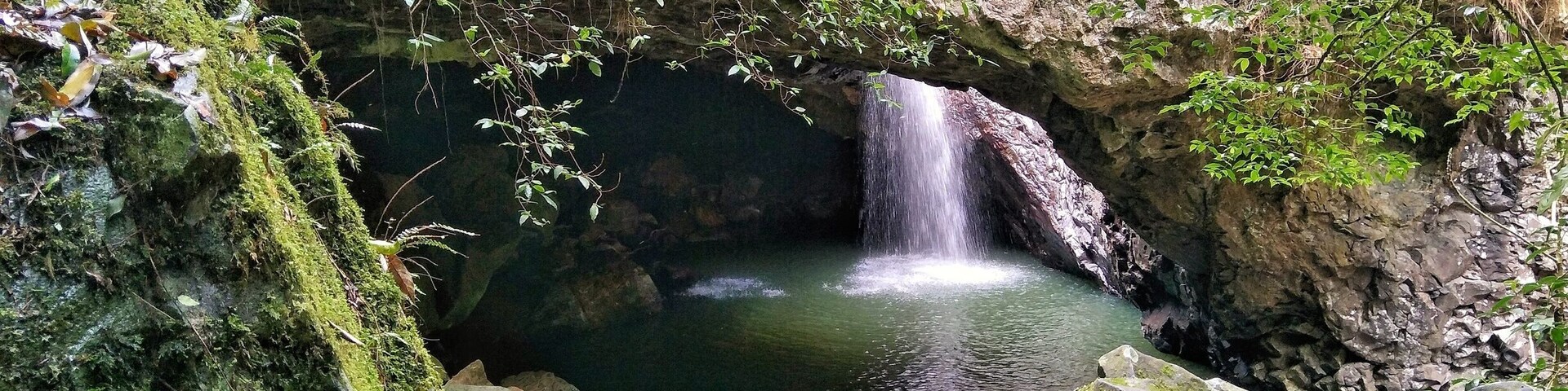 This beautiful waterfall is in the hinterland of the Gold Coast. It is an easy walk through the rainforest & the cave gets Glow worms in it at night time.