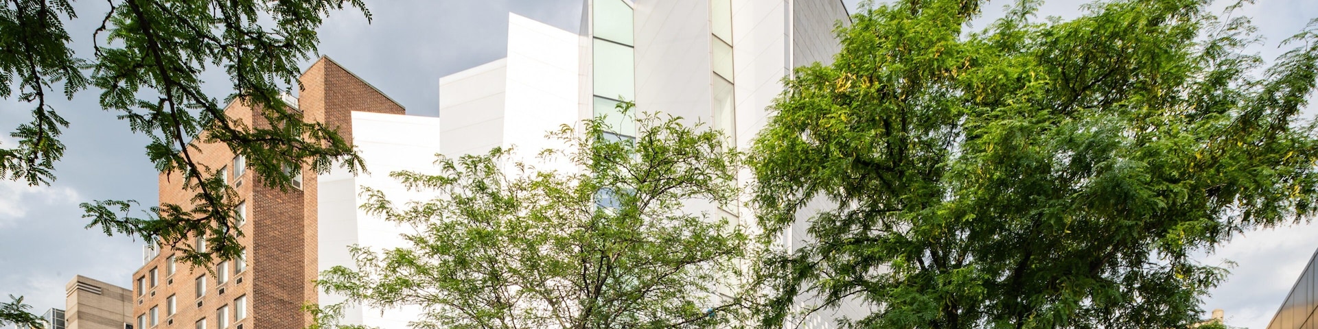 The Bronx Museum of the Arts featuring a city