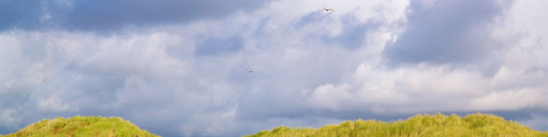 Ainsdale Beach which includes general coastal views and a beach