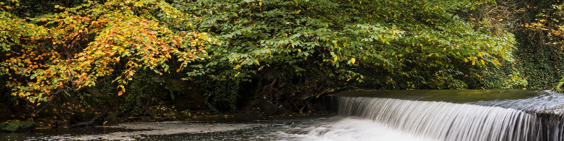 Uma cascata em área arborizada, com águas cristalinas e vegetação exuberante ao redor.
