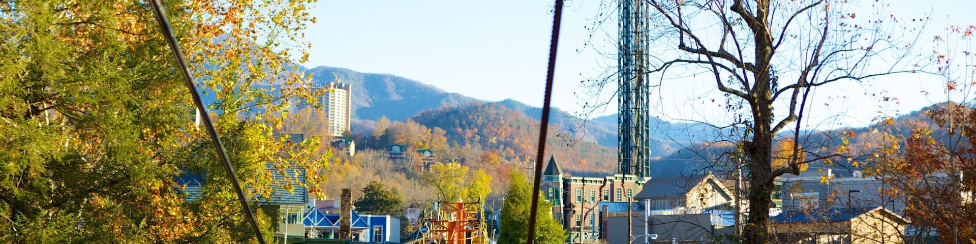 Gatlinburg Space Needle showing a park and a small town or village