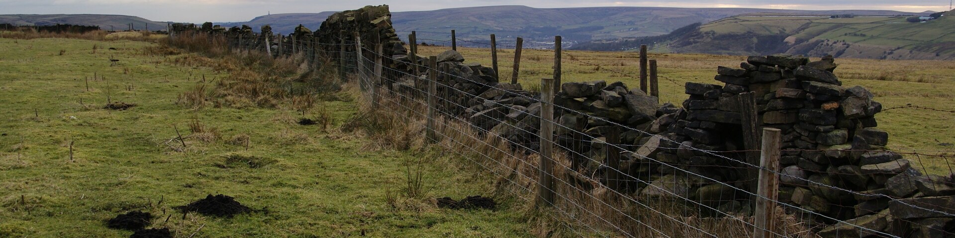 A broken down wall on Bonfire Hill This has been supplemented by a wire fence on both sides.