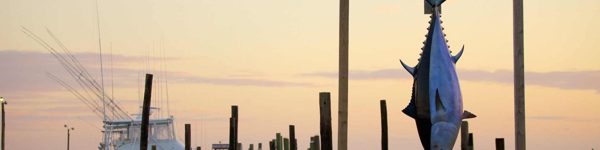 Oregon Inlet Fishing Center which includes boating, signage and fishing