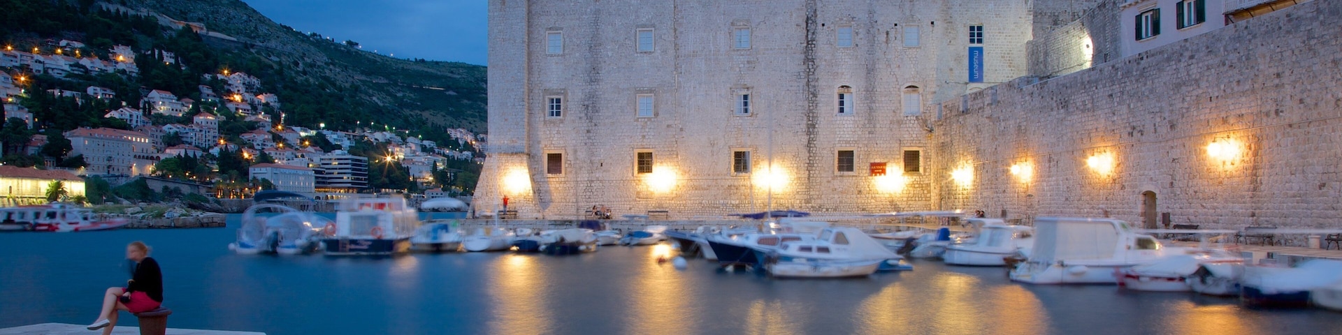 Dubrovnik Aquarium and Maritime Museum showing night scenes, a marina and heritage architecture