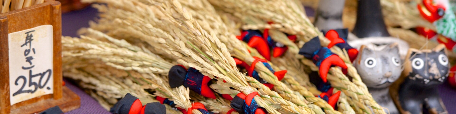 Miyagawa Morning Market showing shopping