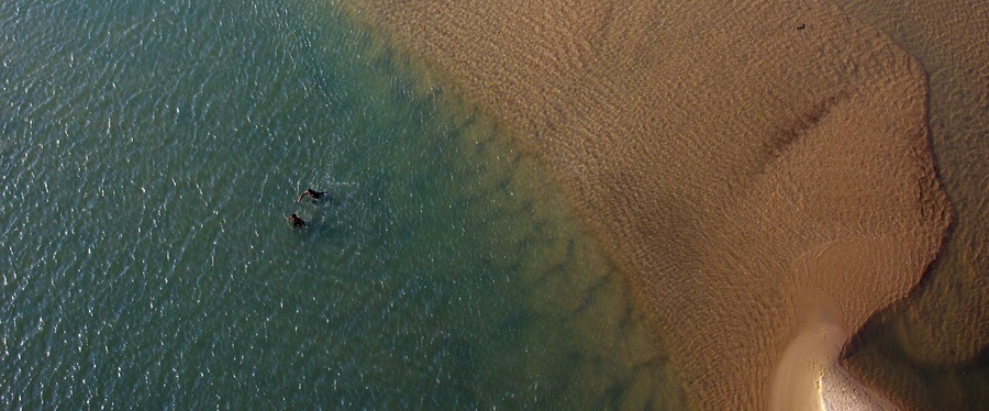 Uma praia com águas claras e areal arenoso.
