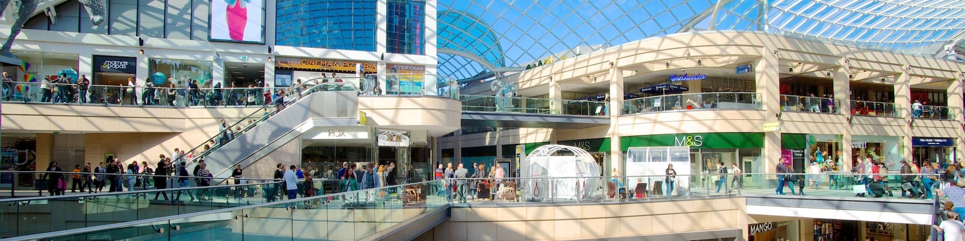Trinity Leeds Mall que inclui vistas internas, arquitetura moderna e cenas de rua