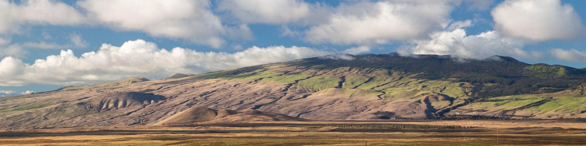 Kamuela featuring tranquil scenes, mountains and landscape views