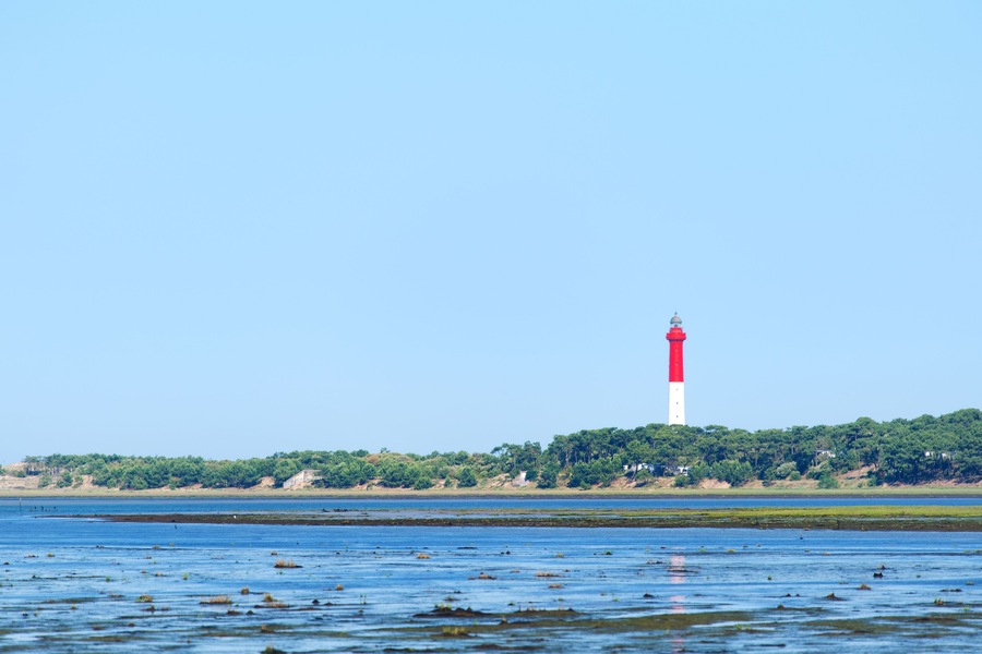 Um farol numa pequena ilha rodeada por águas calmas e vegetação.