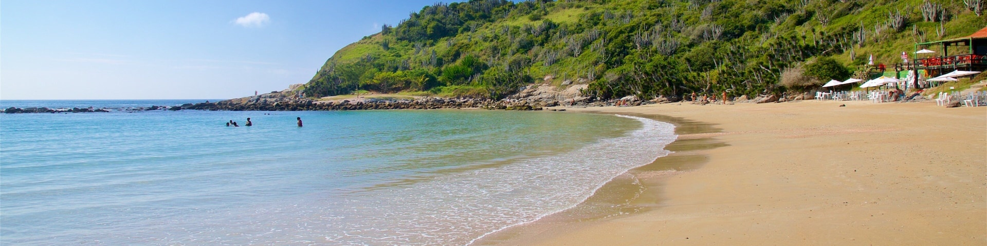 Uma praia arenosa com ondas suaves, céu azul límpido e um morro verde ao fundo.