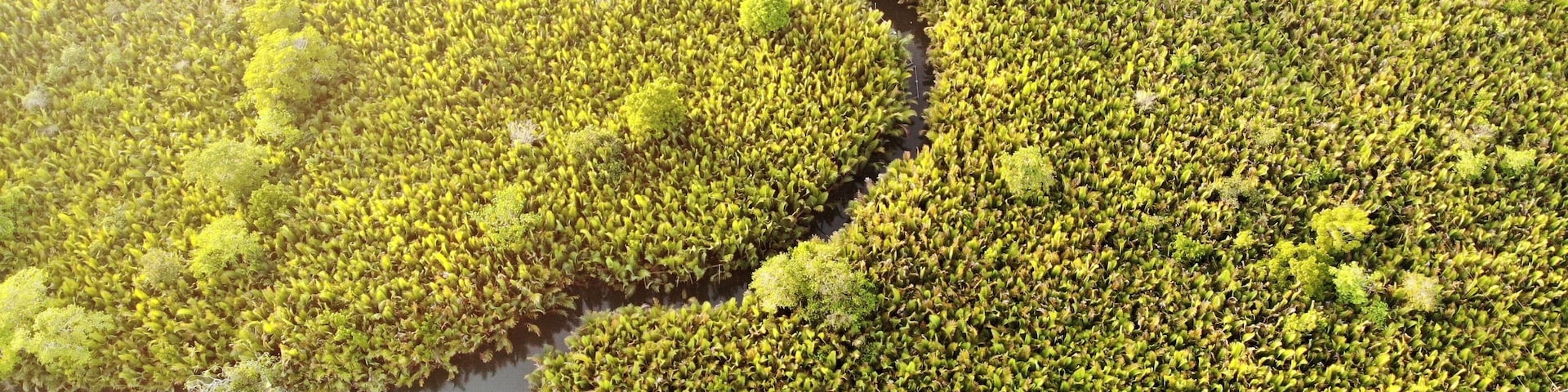 Drone shot in Loay