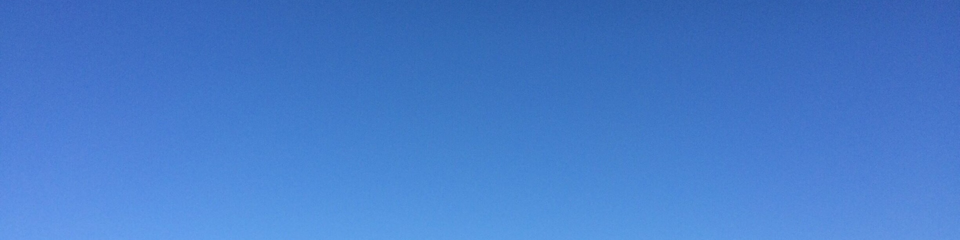 Sometimes it's just the simplest photos that are my favourites! Absolutely gorgeous blue skies at 7.30am (!!) while walking my dog over heathland covered by gorse. Love the contrast of #yellow and #blue here. 
#blue #sky #contrast #frensham #england #UK