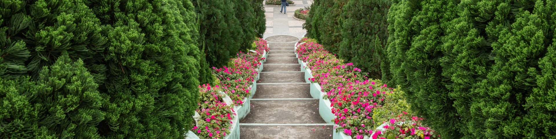 Carmel Garden featuring a park and flowers