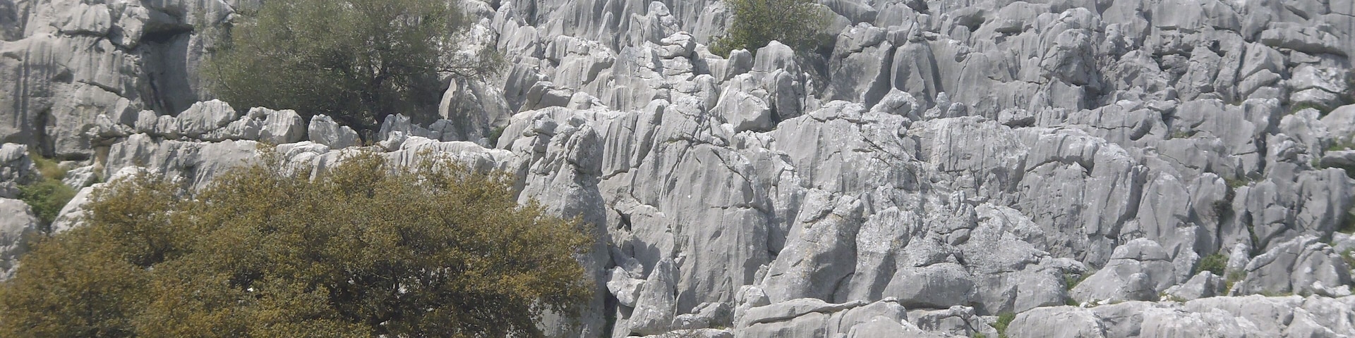 Lapiaces de algunos tipos en el que el más abundante es el lapiaz en regueros Rillenkarren, en el puerto de Don Fernando, Benaocaz.