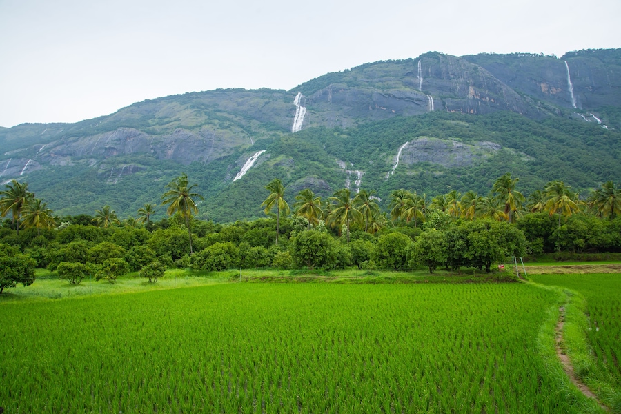 Uma paisagem verde exuberante com uma cachoeira descendo a montanha.
