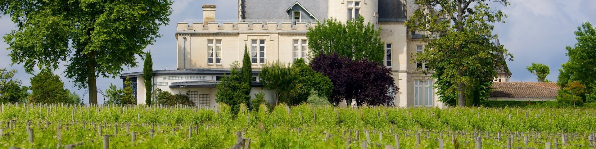 Chateau Pape Clement caracterizando um castelo e elementos de patrimônio