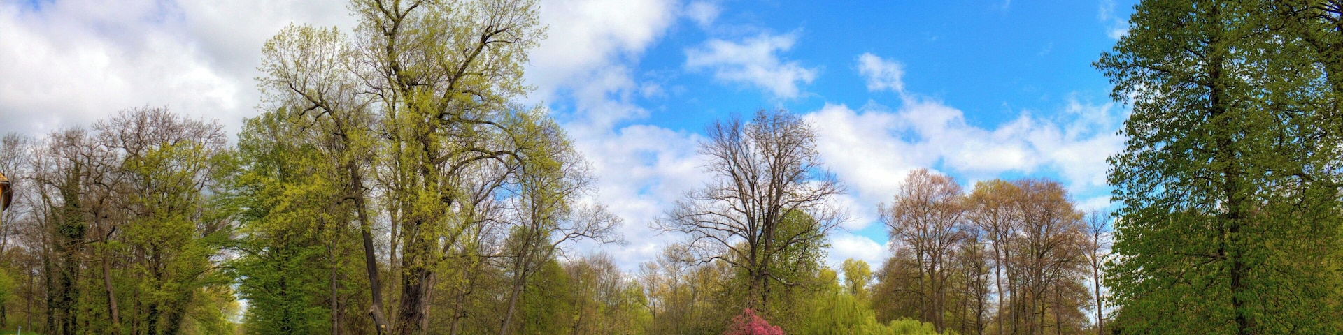 Schlosspark Dahlen, mit einem der ältesten Tulpenbäume Sachsens