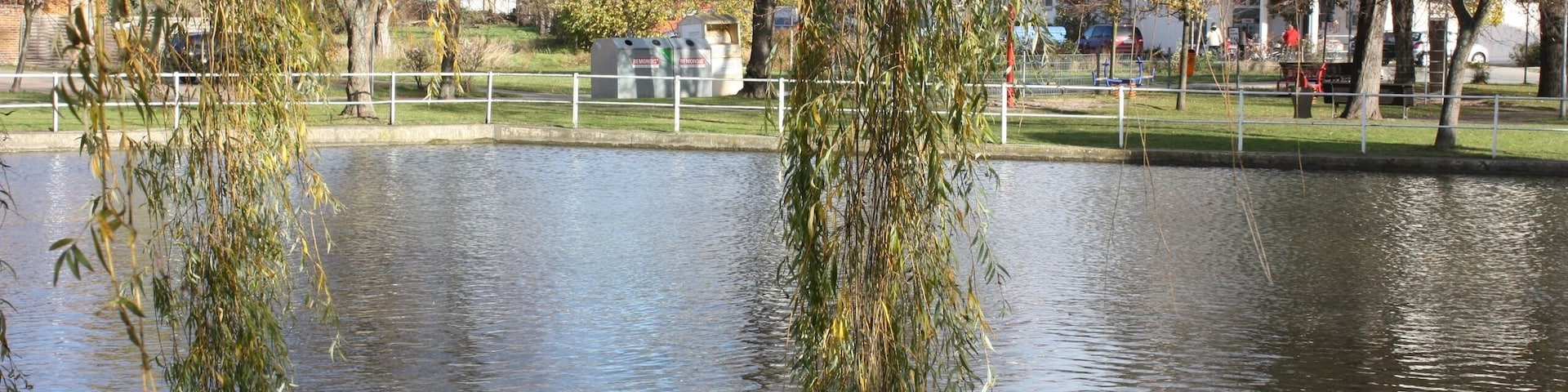 Zschortau (Rackwitz), the pond