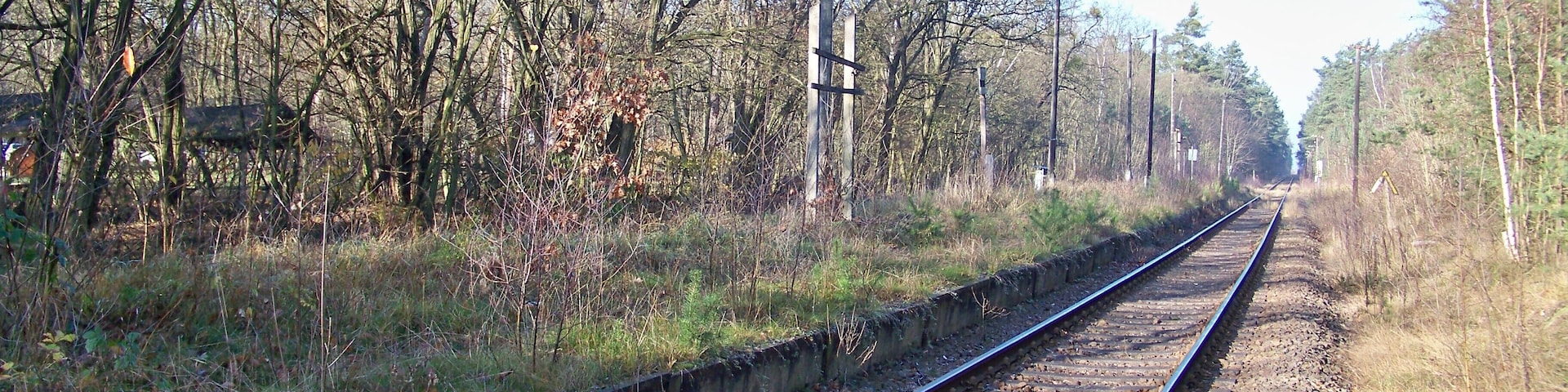 ehemaliger Haltepunkt Rotes Haus in der Dübener Heide nördlich von Eilenburg an der Strecke Eilenburg-Pretzsch