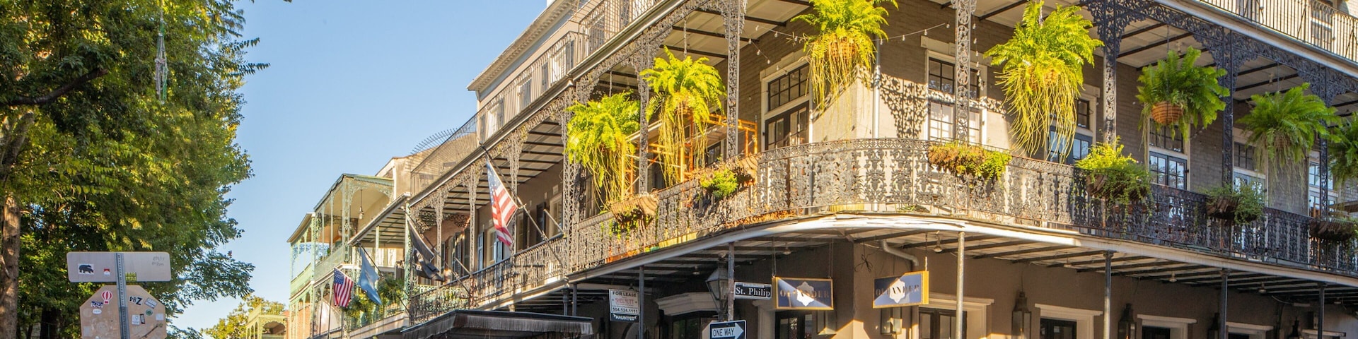 Royal Street featuring land animals, horseriding and heritage elements