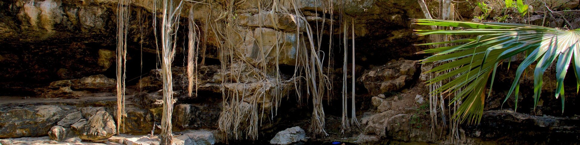 Cenote X\'batun featuring a lake or waterhole and swimming as well as a small group of people