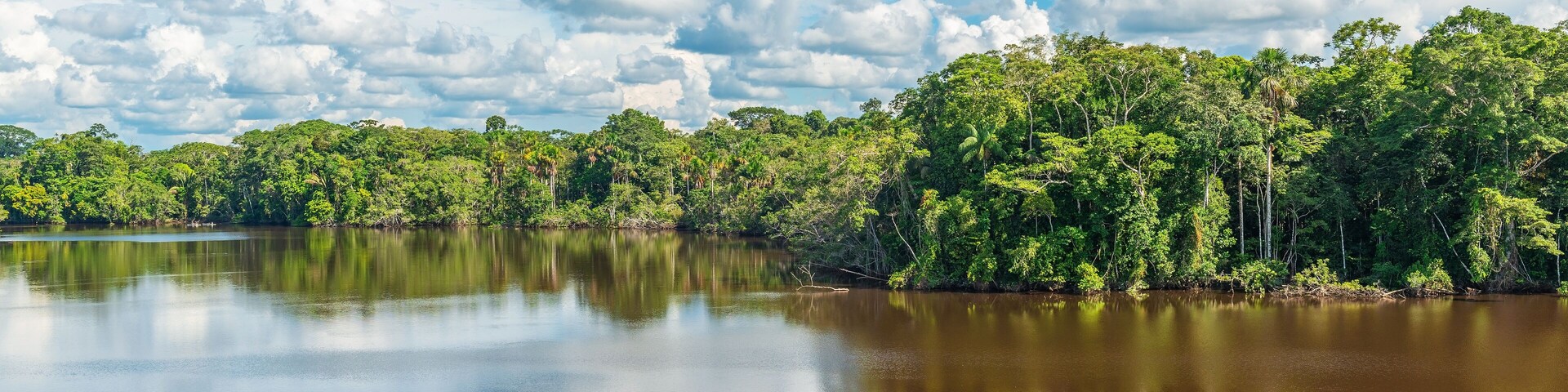 Um lago calmo rodeado por uma floresta verdejante e um céu parcialmente nublado.