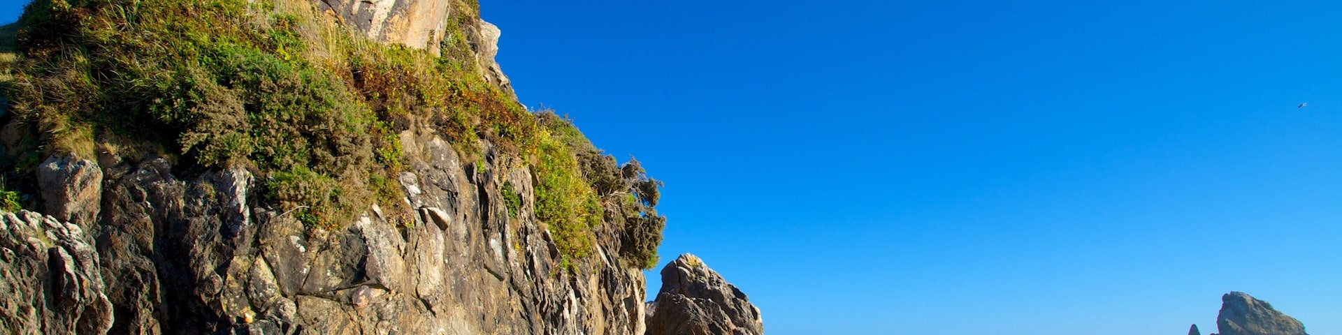 Harris Beach State Park mostrando uma praia de areia e litoral rochoso