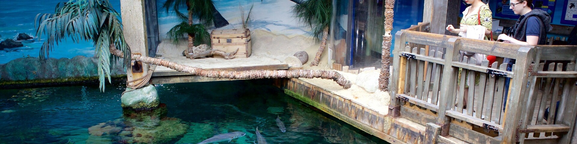 Oceanarium showing marine life as well as a couple