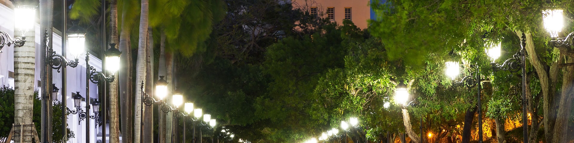 Rua arborizada ao entardecer, com postes de luz e um edifício ao fundo.