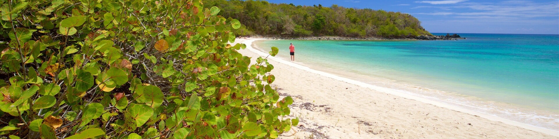 Uma praia com águas turquesa cristalinas, areia dourada e vegetação verde exuberante.
