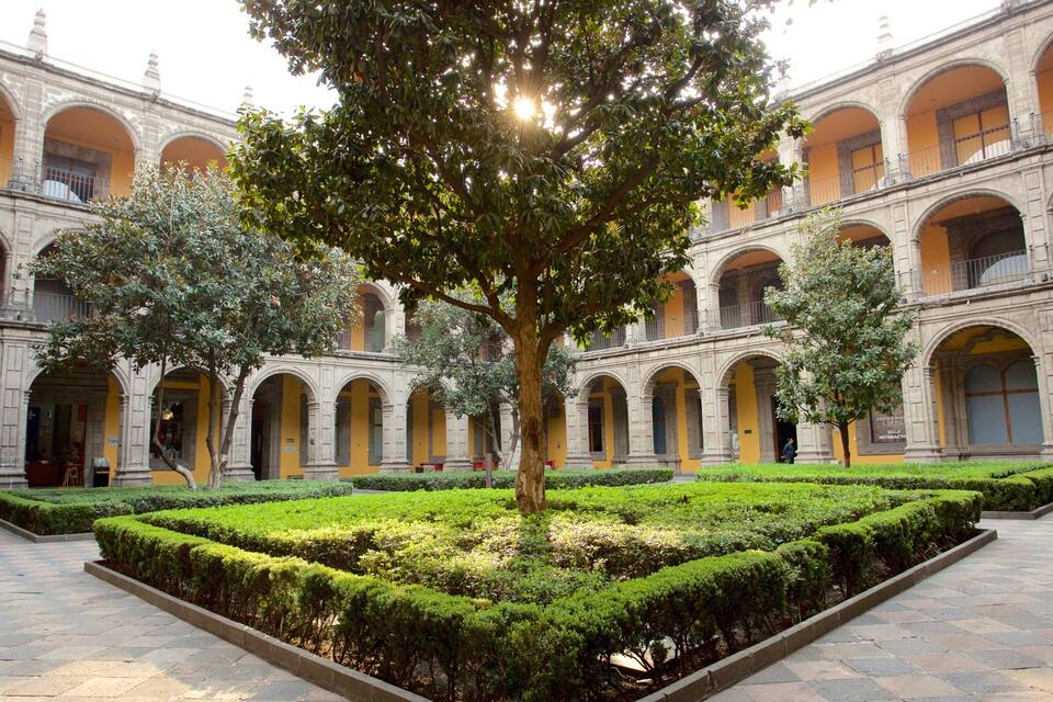 Um pátio com uma árvore central cercada por sebes bem cuidadas, ladeado por arquitetura clássica com arcos e colunas.