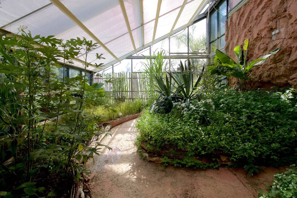Uma estufa com diversas plantas e um caminho de terra.