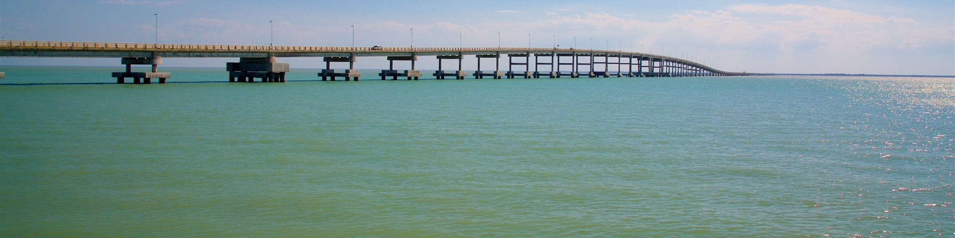 El Zacatal Bridge showing a bridge and general coastal views