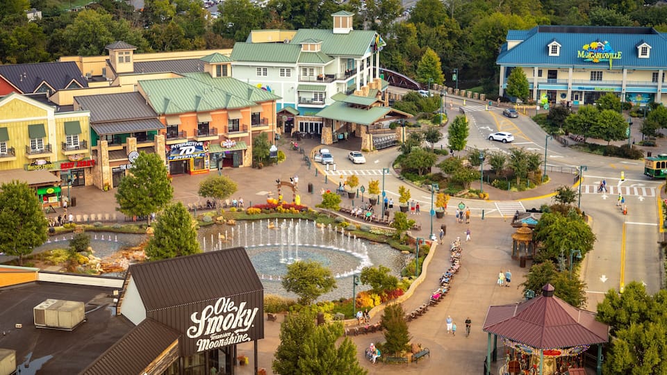 Great Smoky Mountain Wheel