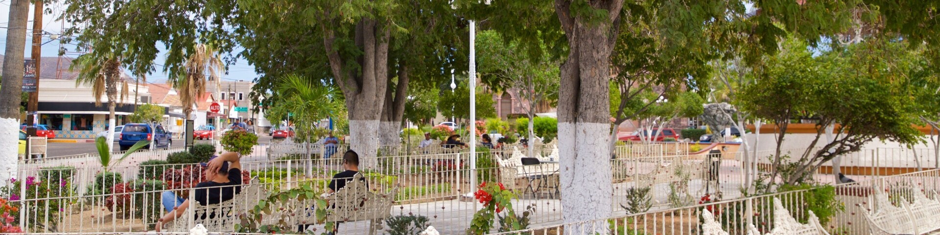 Constitution Square featuring a garden