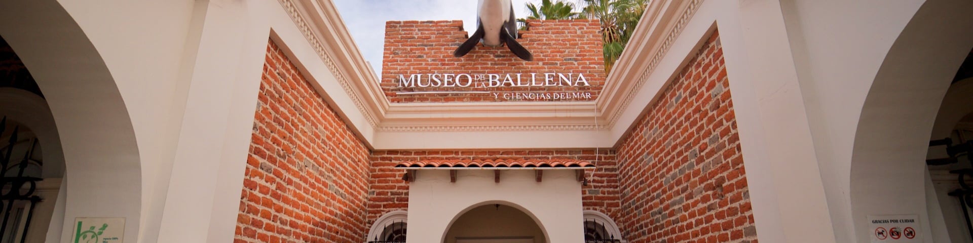 Whale Museum which includes signage