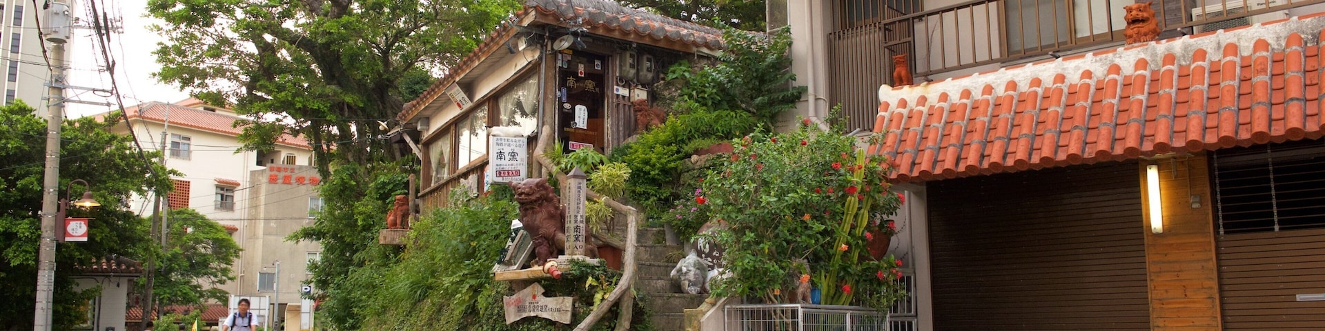 Tsuboya Pottery Museum which includes a small town or village and street scenes