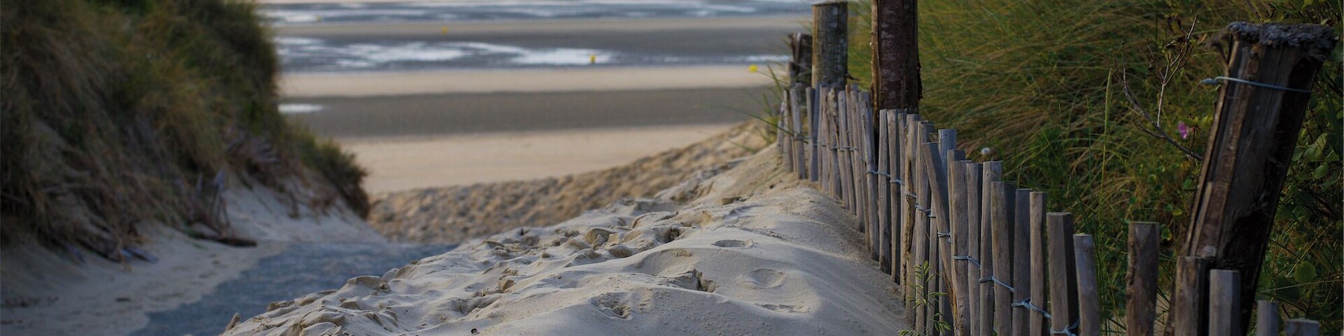 Um caminho de areia na praia com pegadas que levam ao oceano, cercado por grama e uma cerca de madeira.