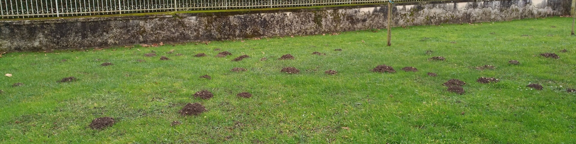 Gare de Chatelay - Chissey (Jura, France) en janvier 2018.