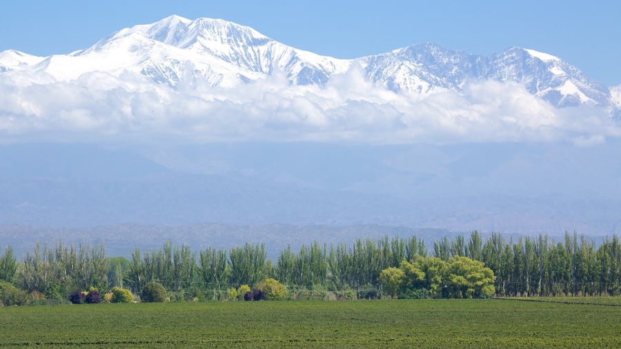Catena Zapata Winery showing snow and mountains