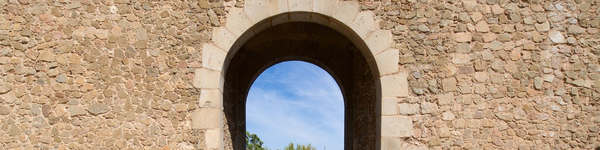 Puerta Bisagra